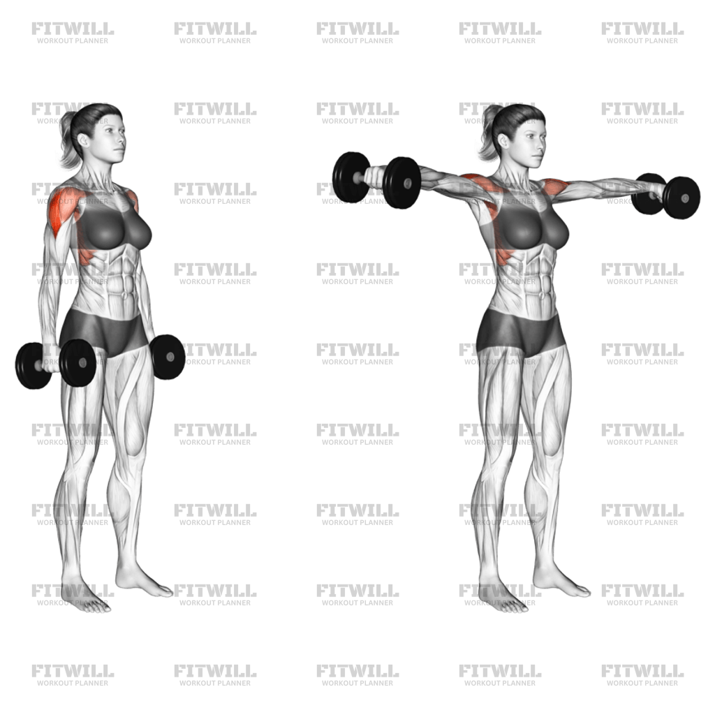 Dumbbell Standing Lateral Raise: Exercise Guide, Video, Techniques ...