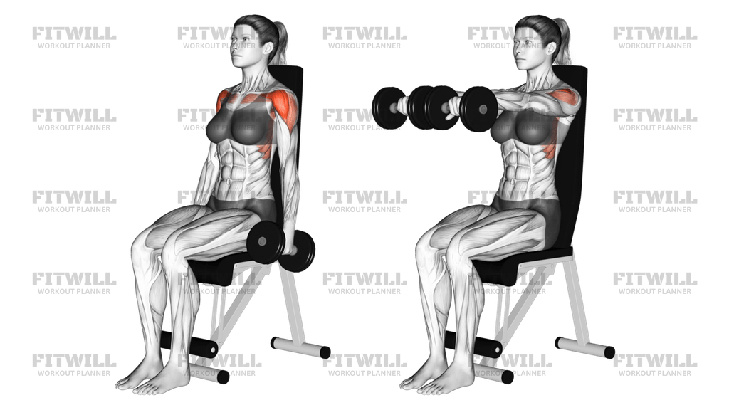 Dumbbell Seated Front Raise: Exercise Guide, Video, Techniques, Benefits, How to, Muscles Worked ...