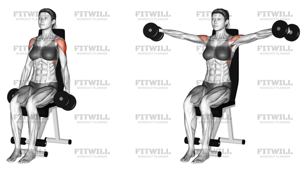 How to do Dumbbell Seated Lateral Raise: Techniques, Benefits, Tips ...