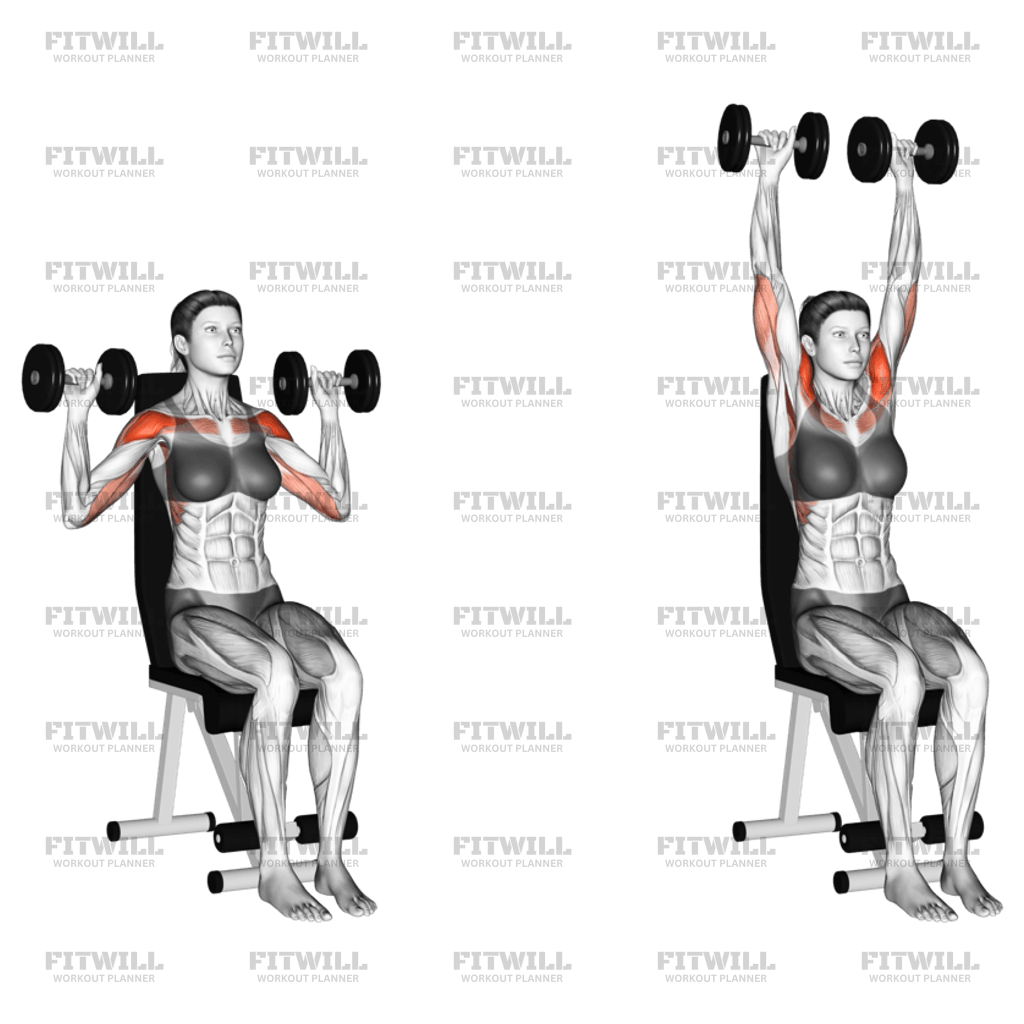Dumbbell Seated Shoulder Press: Exercise Guide, Video, Techniques, Benefits, How to, Muscles ...