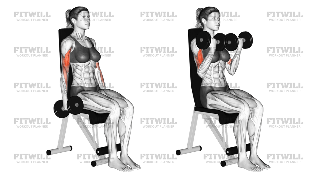 Dumbbell Seated Curl: Exercise Guide, Techniques, Benefits, How to ...