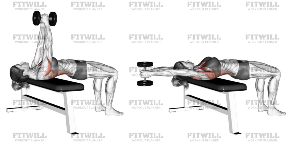 Dumbbell Straight Arm Pullover: Exercise Guide, Video, Techniques ...