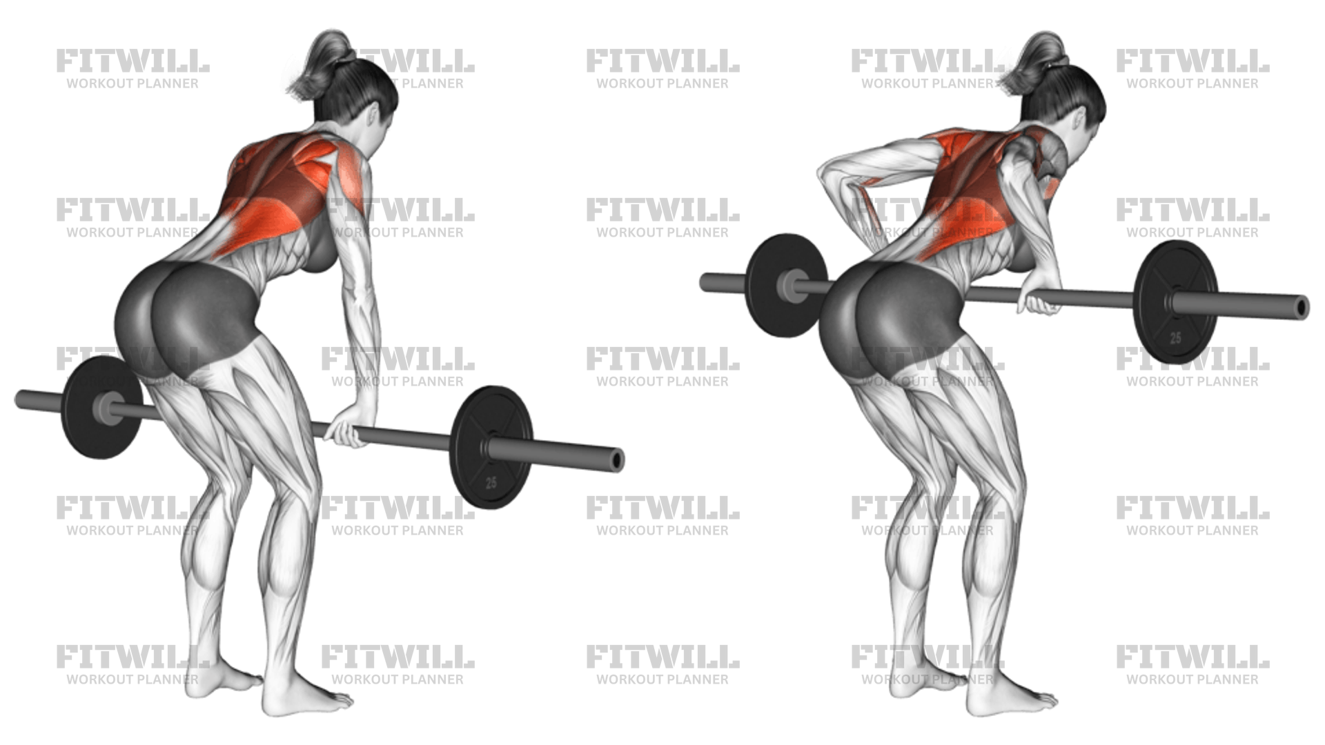 Barbell Bent Over Row: Exercise Guide, Video, Techniques, Benefits, How ...
