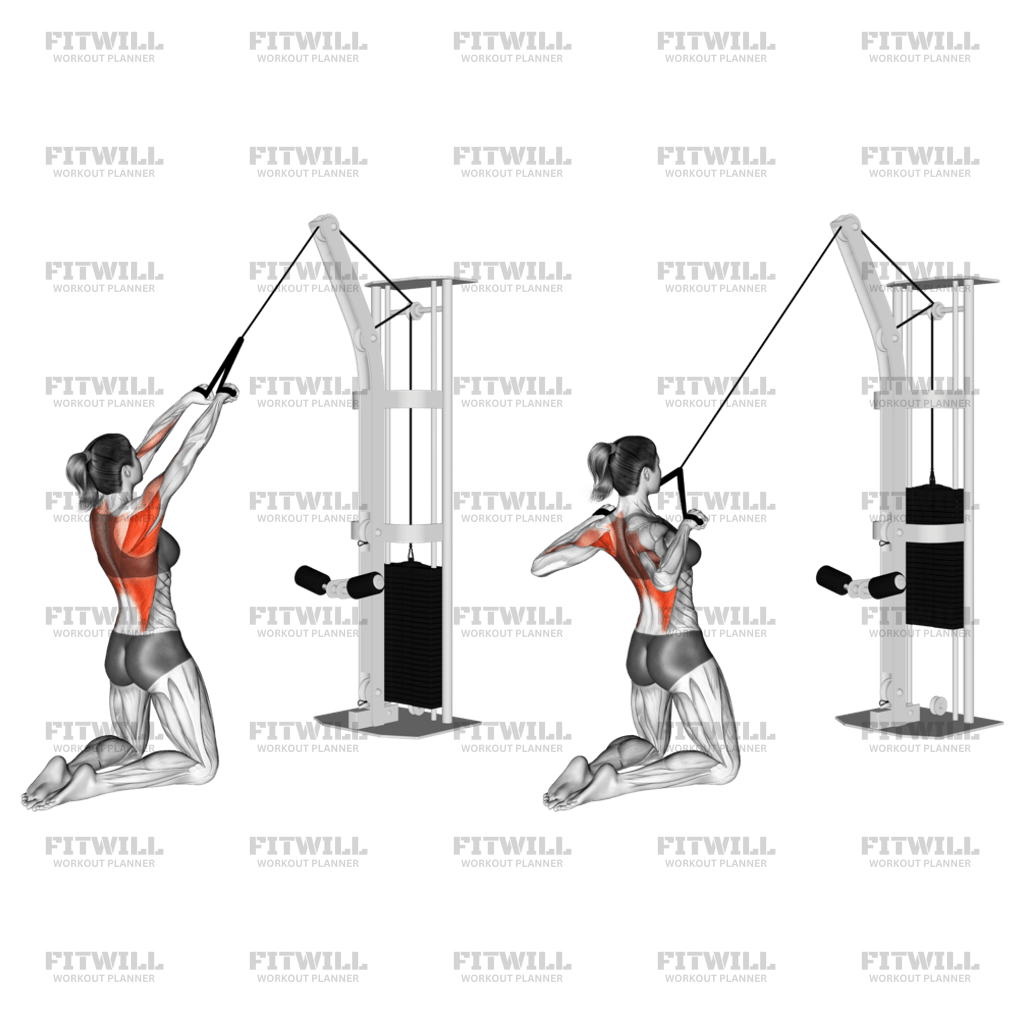Remada Alta Na Polia (com Corda, Ajoelhado): Guia de Exercício ...