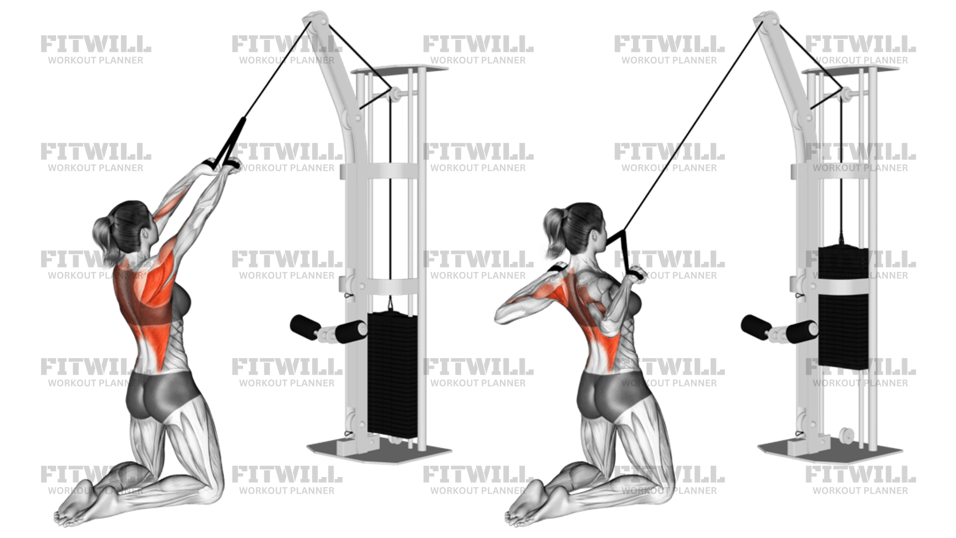 Cable High Row (kneeling Rope Attachment): Exercise Guide, Techniques ...