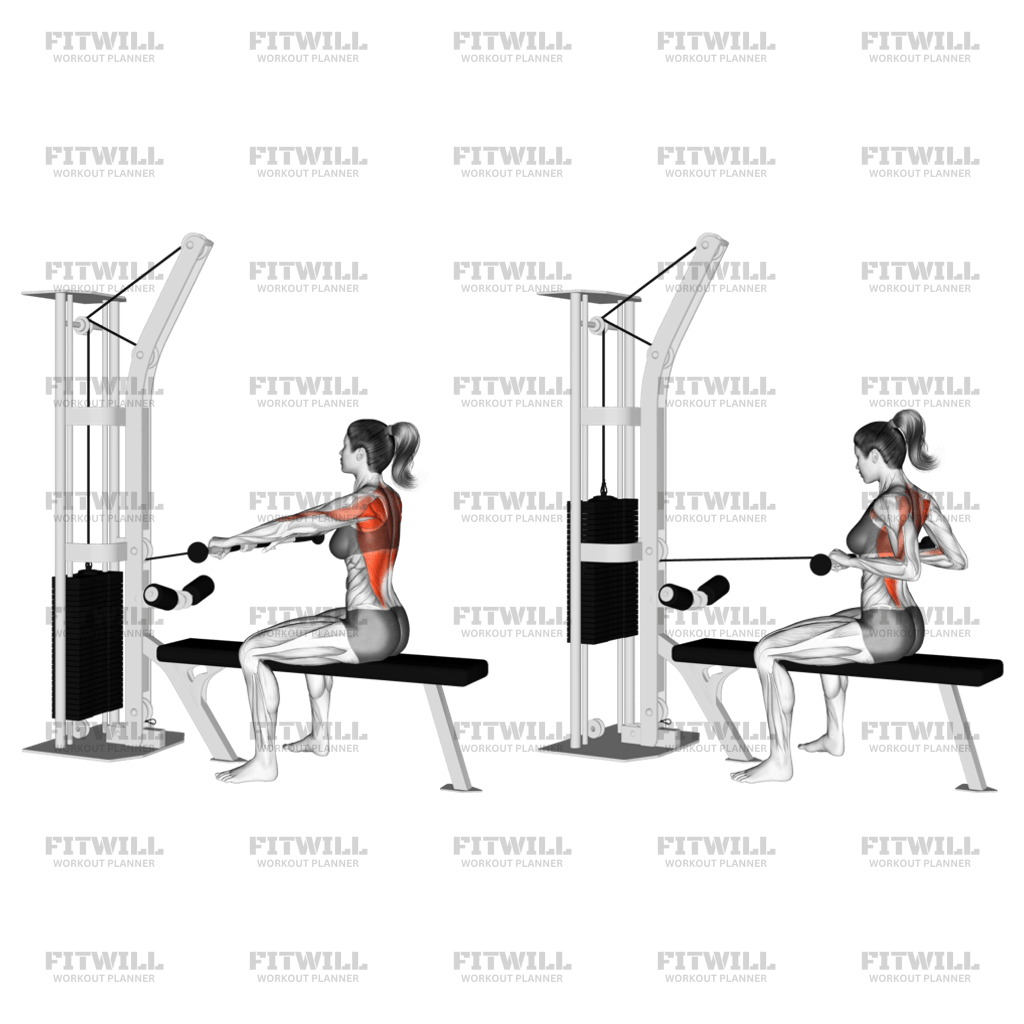 Cable Seated Row: Exercise Guide, Techniques, Benefits, How to, Muscles ...