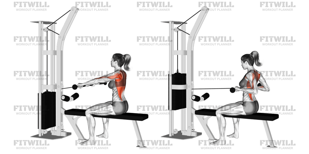 Cable Seated Row: Exercise Guide, Techniques, Benefits, How to, Muscles ...