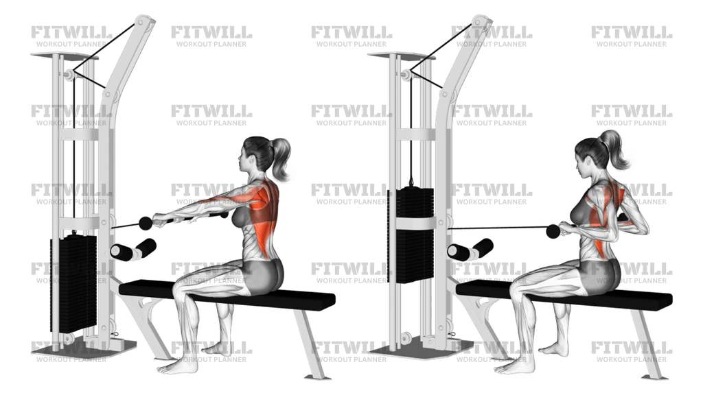Cable Seated Row: Exercise Guide, Techniques, Benefits, How to, Muscles ...