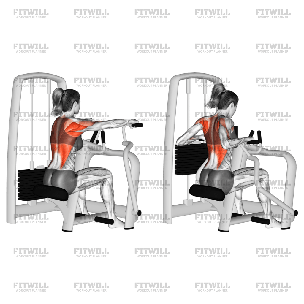 Lever Seated Row: Exercise Guide, Video, Techniques, Benefits, How to ...