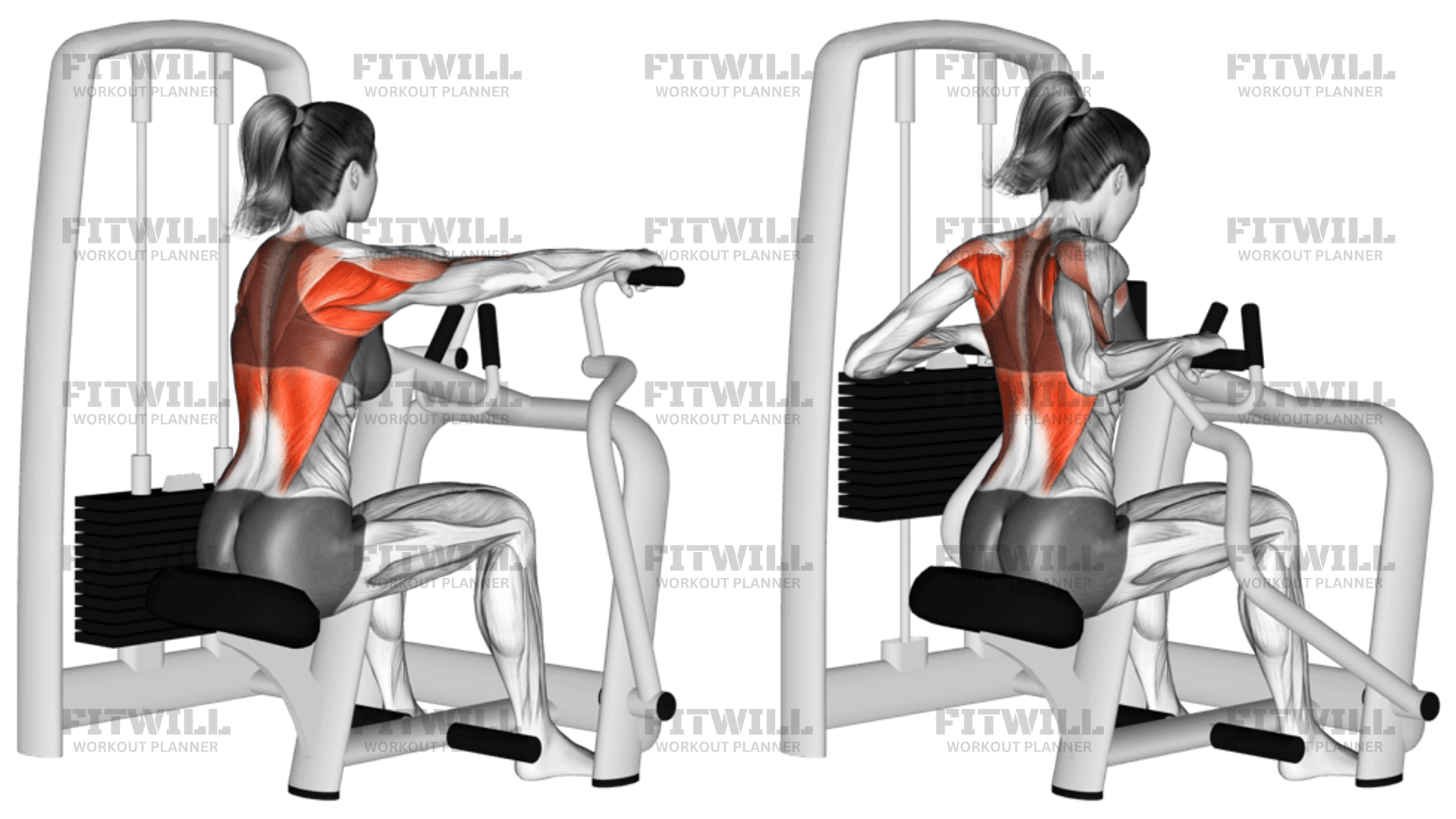Lever Seated Row: Exercise Guide, Video, Techniques, Benefits, How to ...