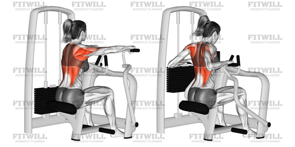 Lever Seated Row: Exercise Guide, Video, Techniques, Benefits, How to ...