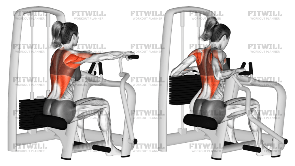 Lever Seated Row: Exercise Guide, Video, Techniques, Benefits, How to ...