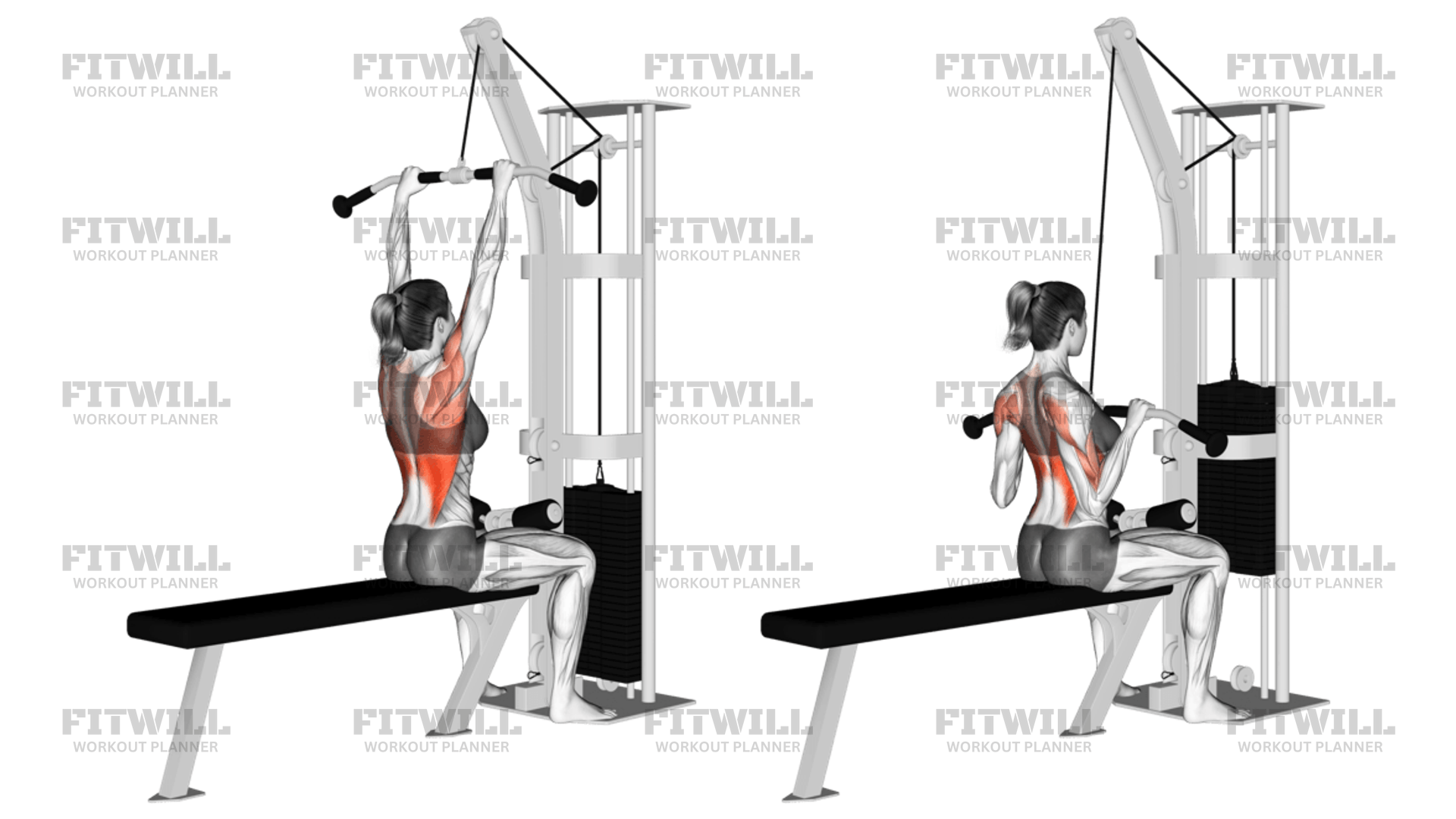 Cable Bar Lateral Pulldown: Exercise Guide, Video, Techniques, Benefits ...
