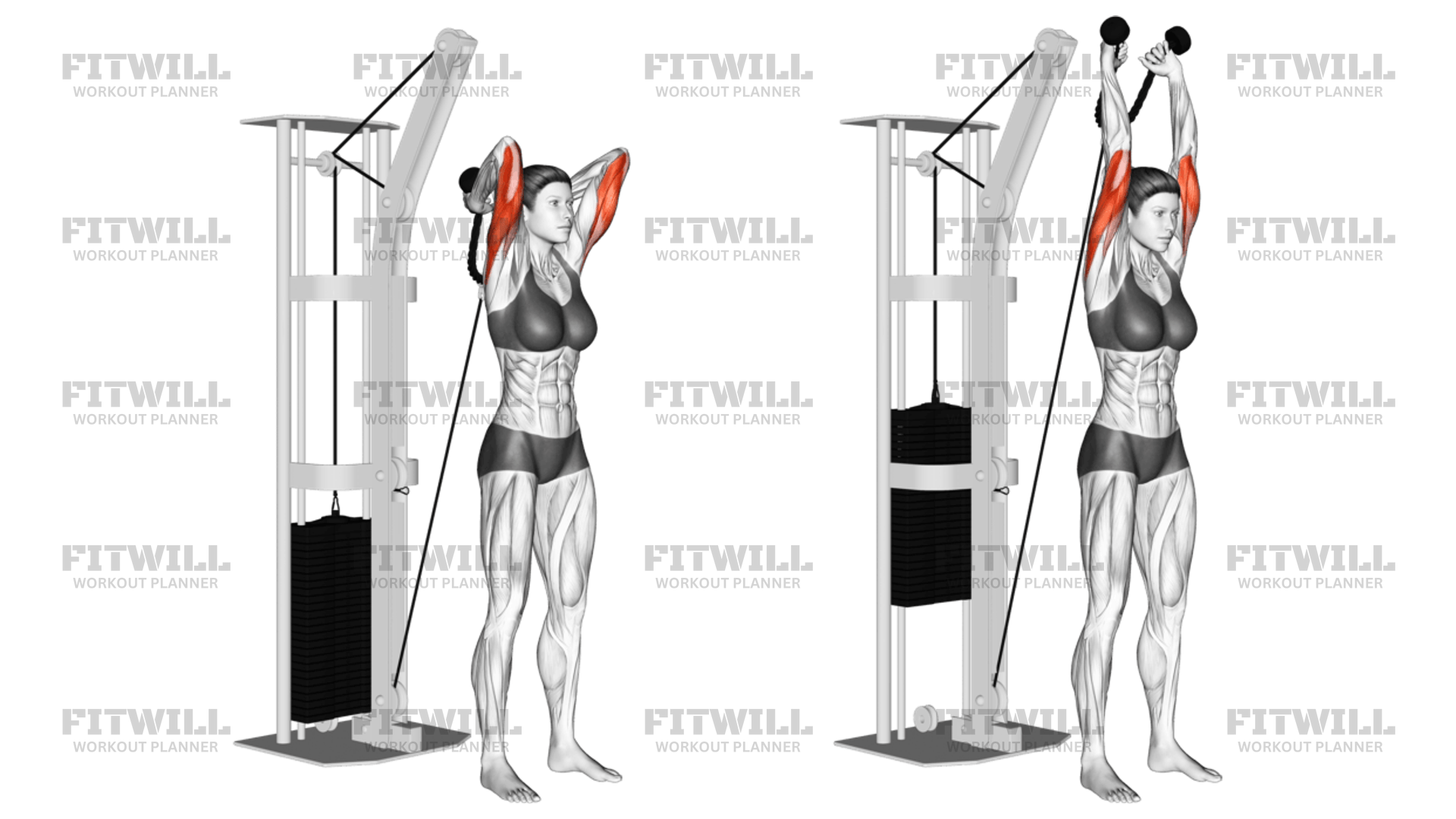 Cable Overhead Triceps Extension (rope Attachment): Exercise Guide ...