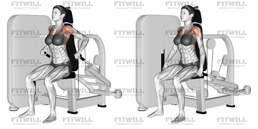 Lever Seated Dip: Exercise Guide, Video, Techniques, Benefits, How to ...