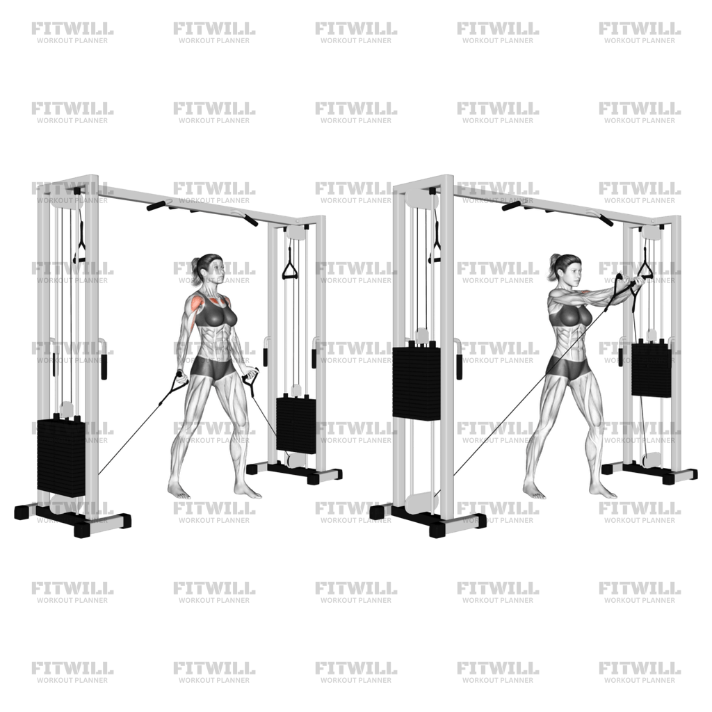 Cable Low Fly: Exercise Guide, Video, Techniques, Benefits, How to, Muscles Worked, Tips ...