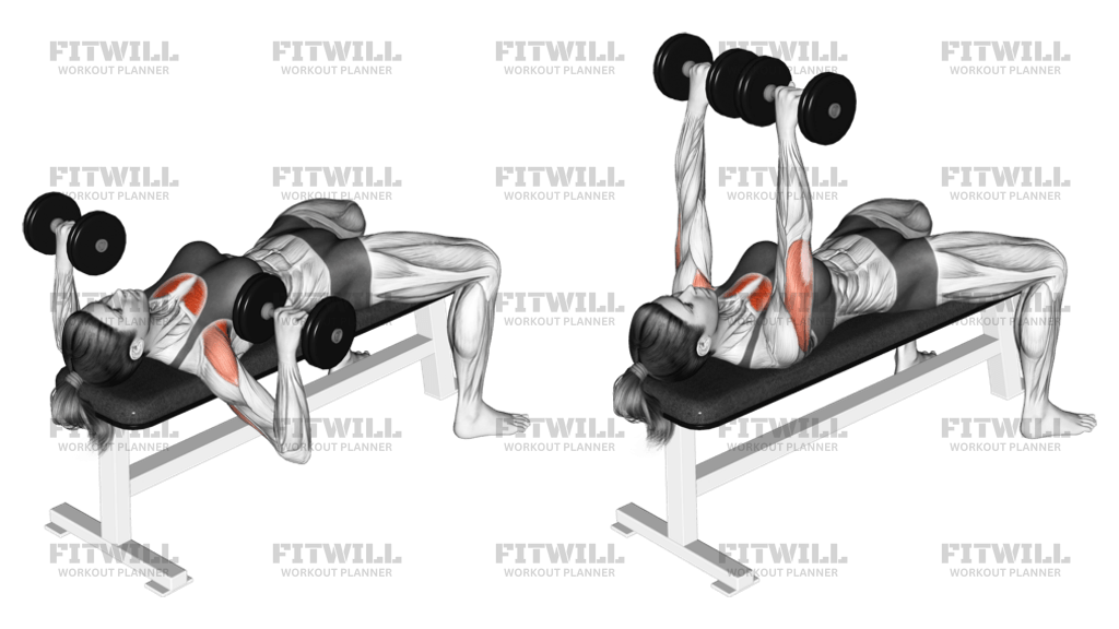 Dumbbell Bench Press Exercise Guide Video Techniques Benefits How To Muscles Worked Tips