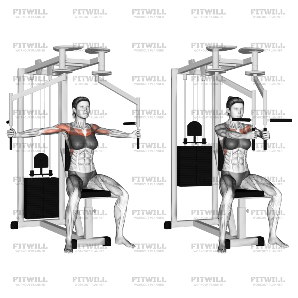 Lever Seated Fly: Exercise Guide, Video, Techniques, Benefits, How to ...