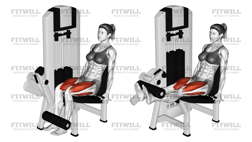 Lever Leg Extension: Exercise Guide, Video, Techniques, Benefits, How ...