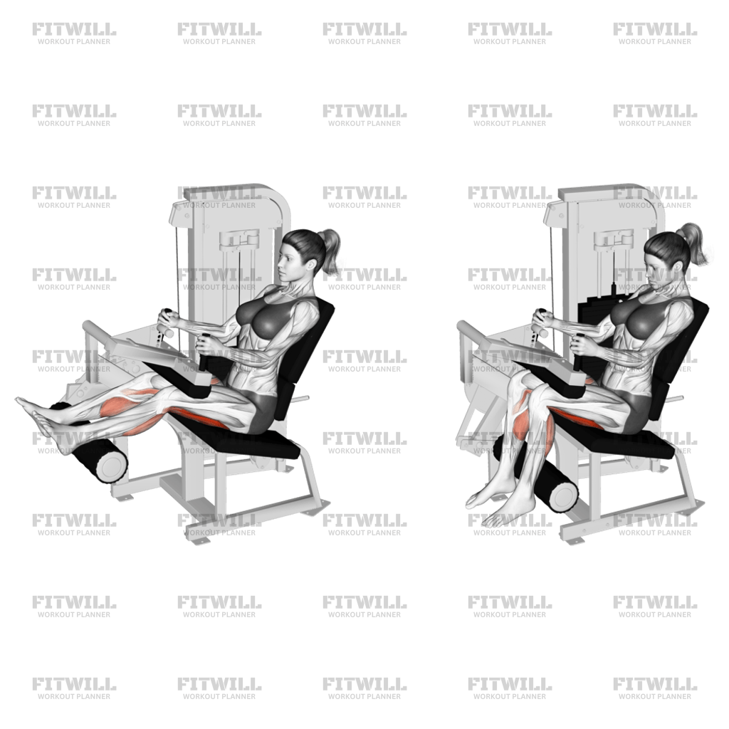 Lever Seated Leg Curl: Exercise Guide, Video, Techniques, Benefits, How ...