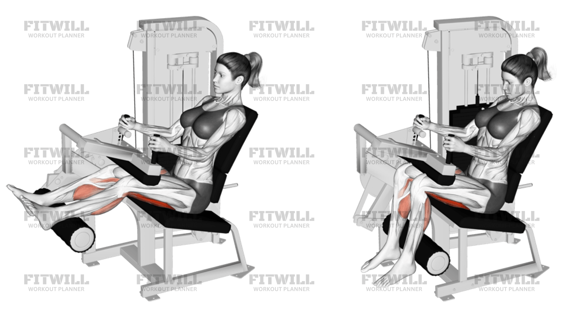 Lever Seated Leg Curl: Exercise Guide, Video, Techniques, Benefits, How ...