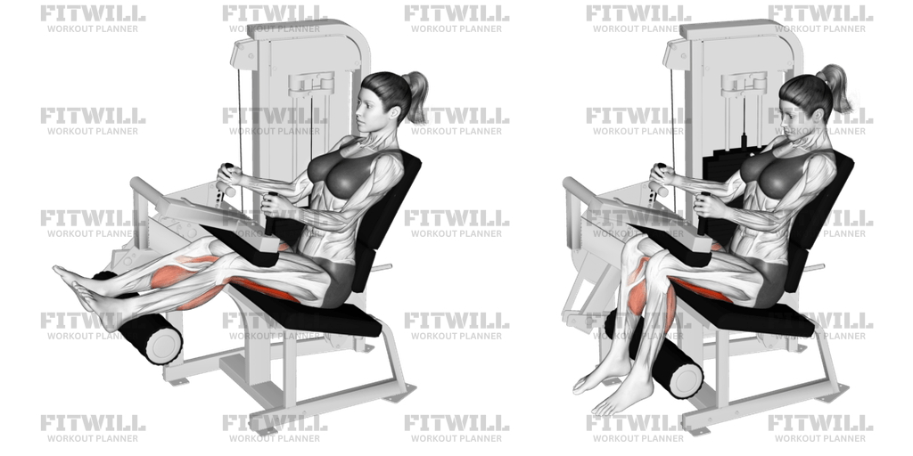 Lever Seated Leg Curl: Exercise Guide, Video, Techniques, Benefits, How ...