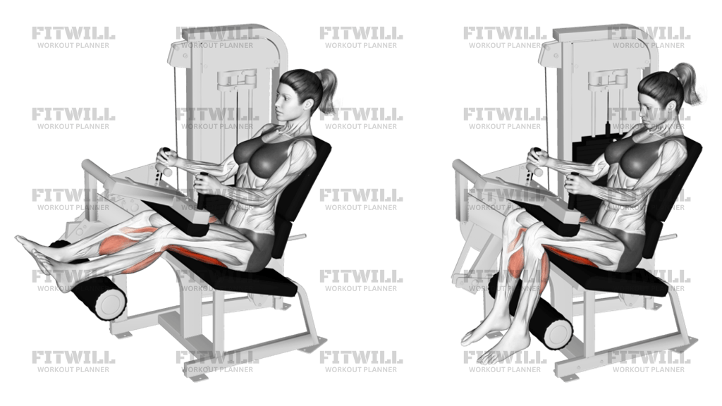 Lever Seated Leg Curl: Exercise Guide, Video, Techniques, Benefits, How ...