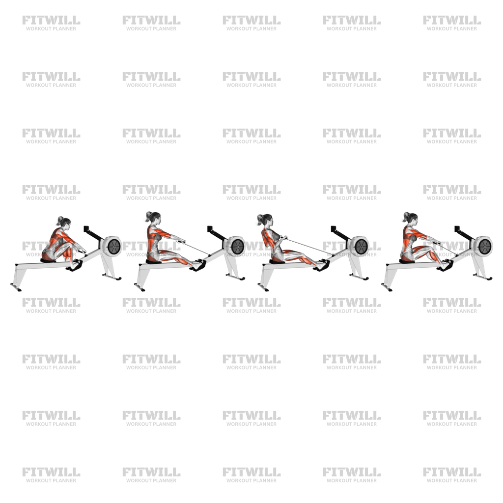 Rowing With Rowing Machine Exercise Guide Video Techniques
