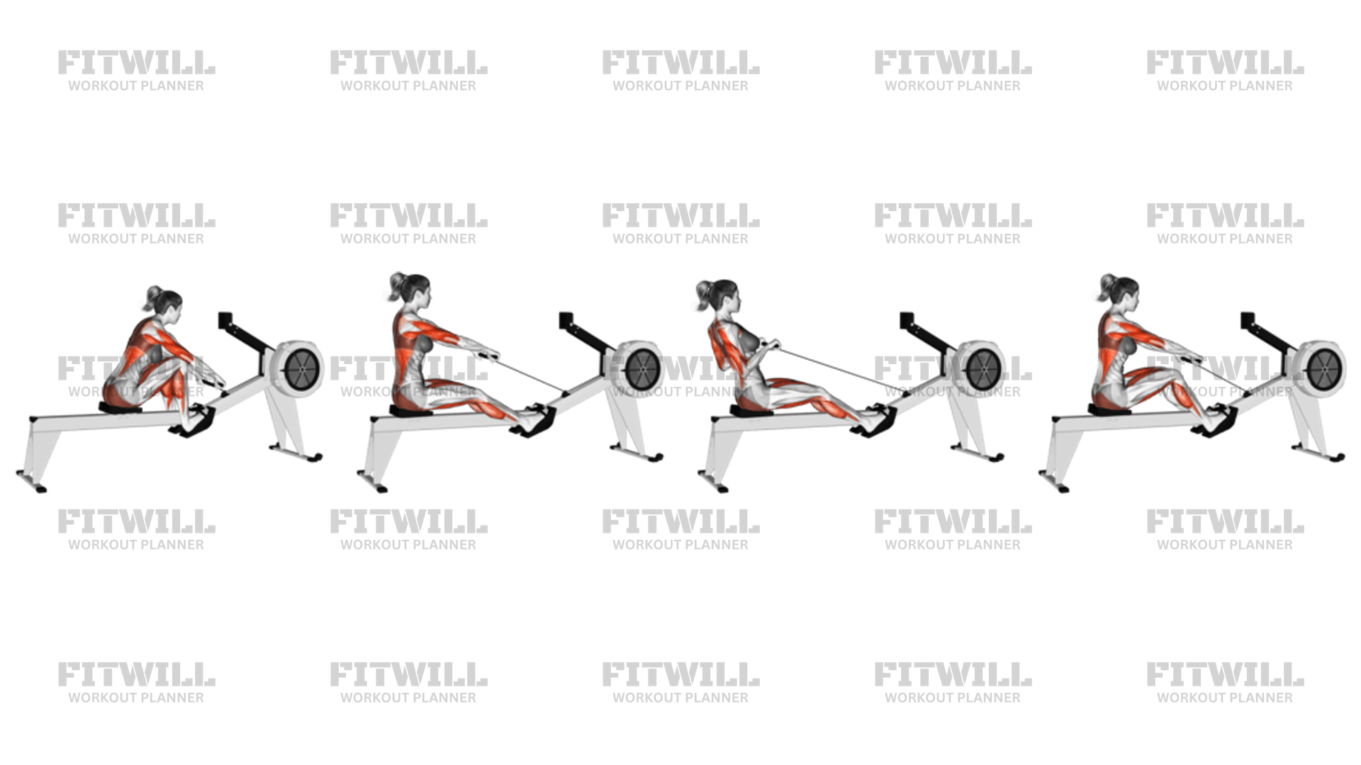 Rowing (with Rowing Machine): Exercise Guide, Video, Techniques ...