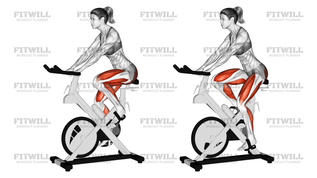 Stationary Bike Run (version 3): Exercise Guide, Video, Techniques ...