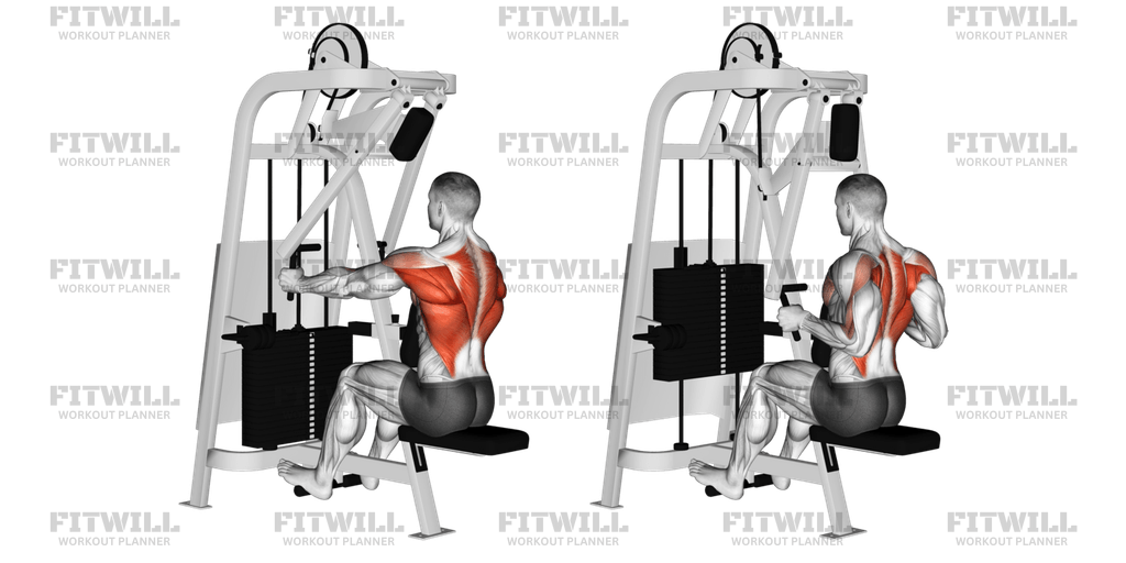 Lever Seated Row (version 2): Exercise Guide, Video, Techniques ...