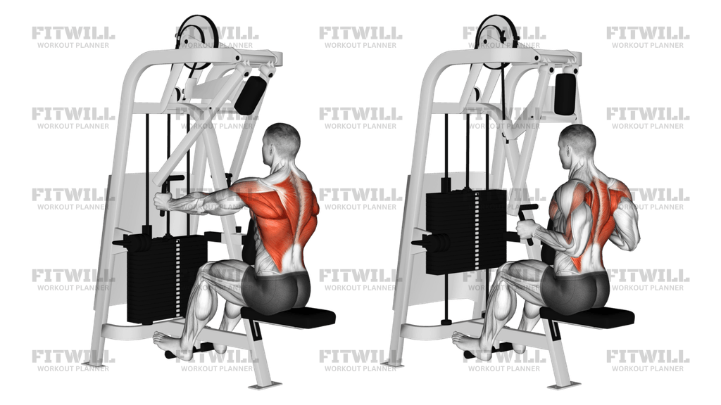 Lever Seated Row (version 2): Exercise Guide, Video, Techniques ...