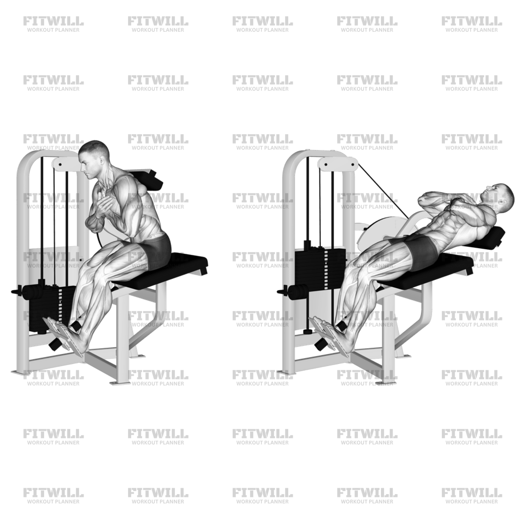Lever Back Extension (version 2): Exercise Guide, Video, Techniques ...
