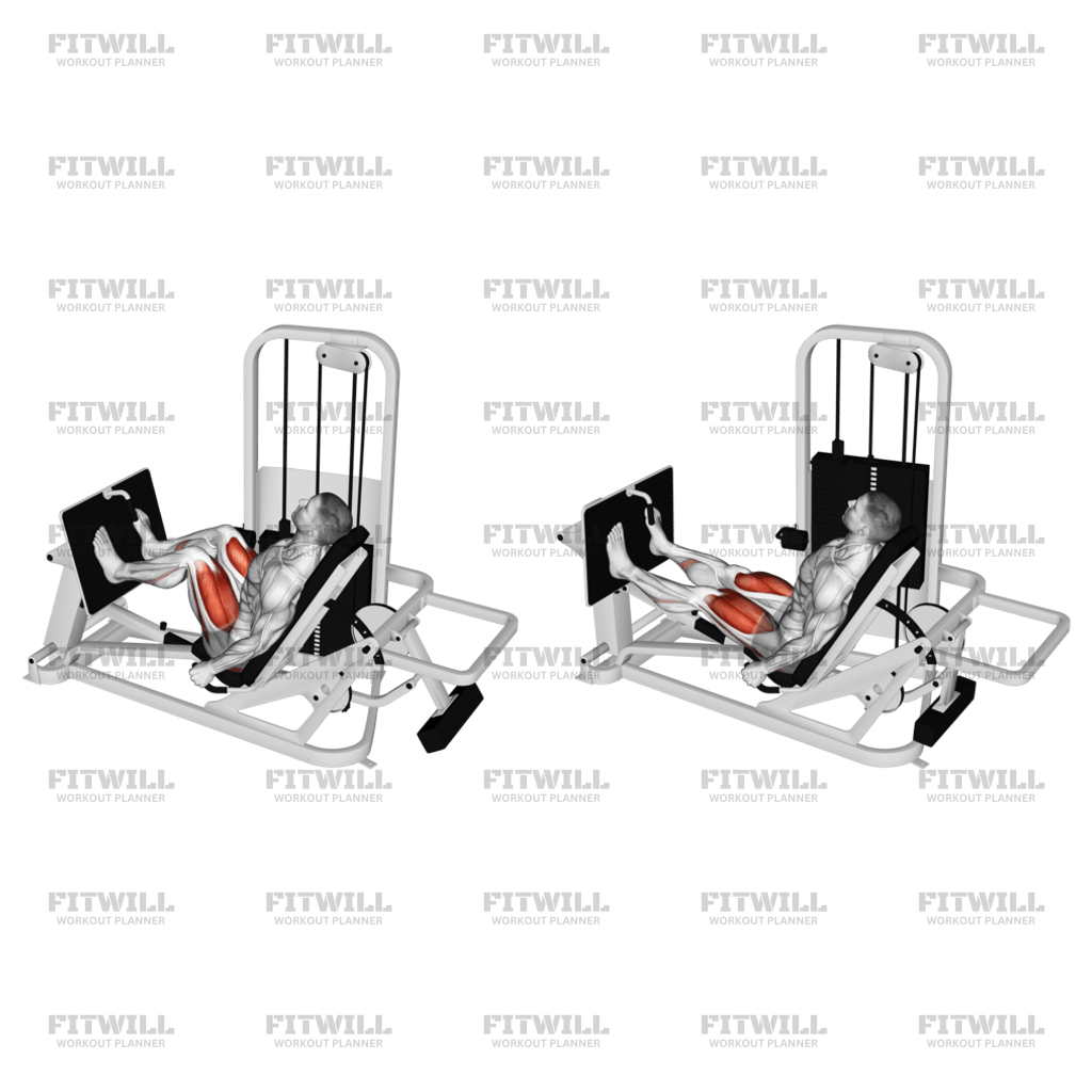 Lever Seated Leg Press: Exercise Guide, Video, Techniques, Benefits ...