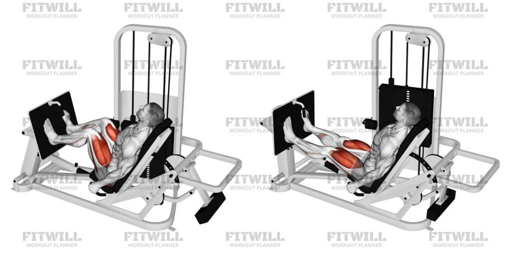 Lever Seated Leg Press: Exercise Guide, Video, Techniques, Benefits ...