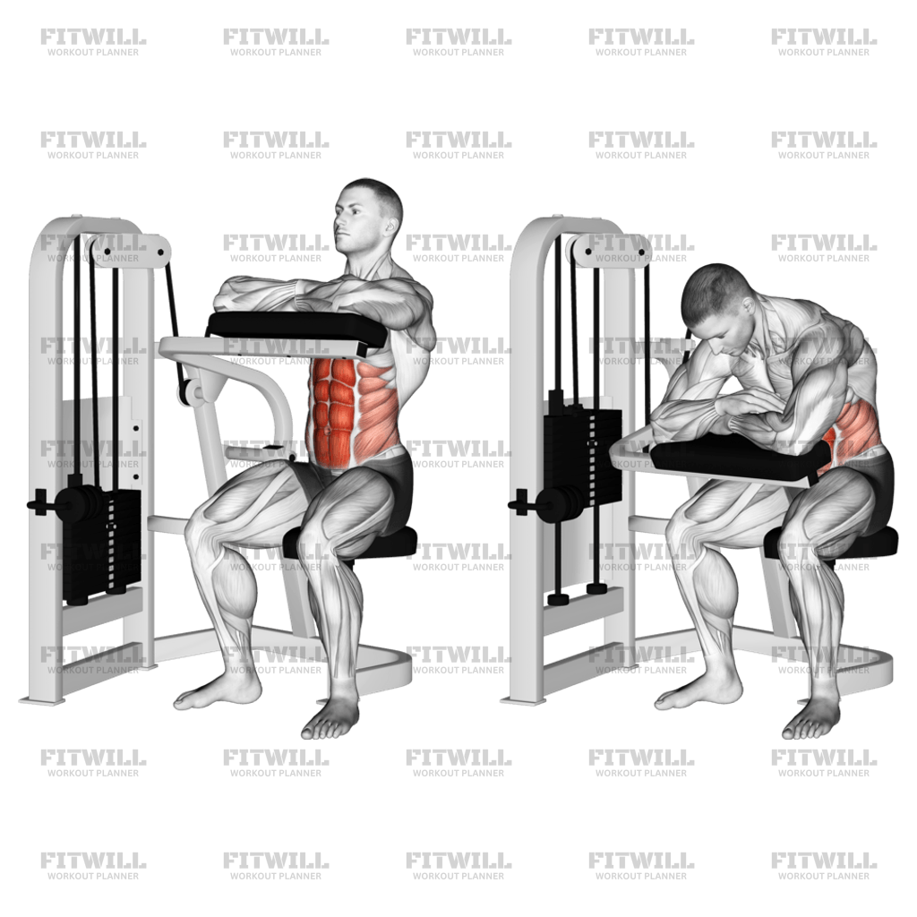 Lever Seated Crunch (hands pad): Guide, Techniques, Benefits, How to ...