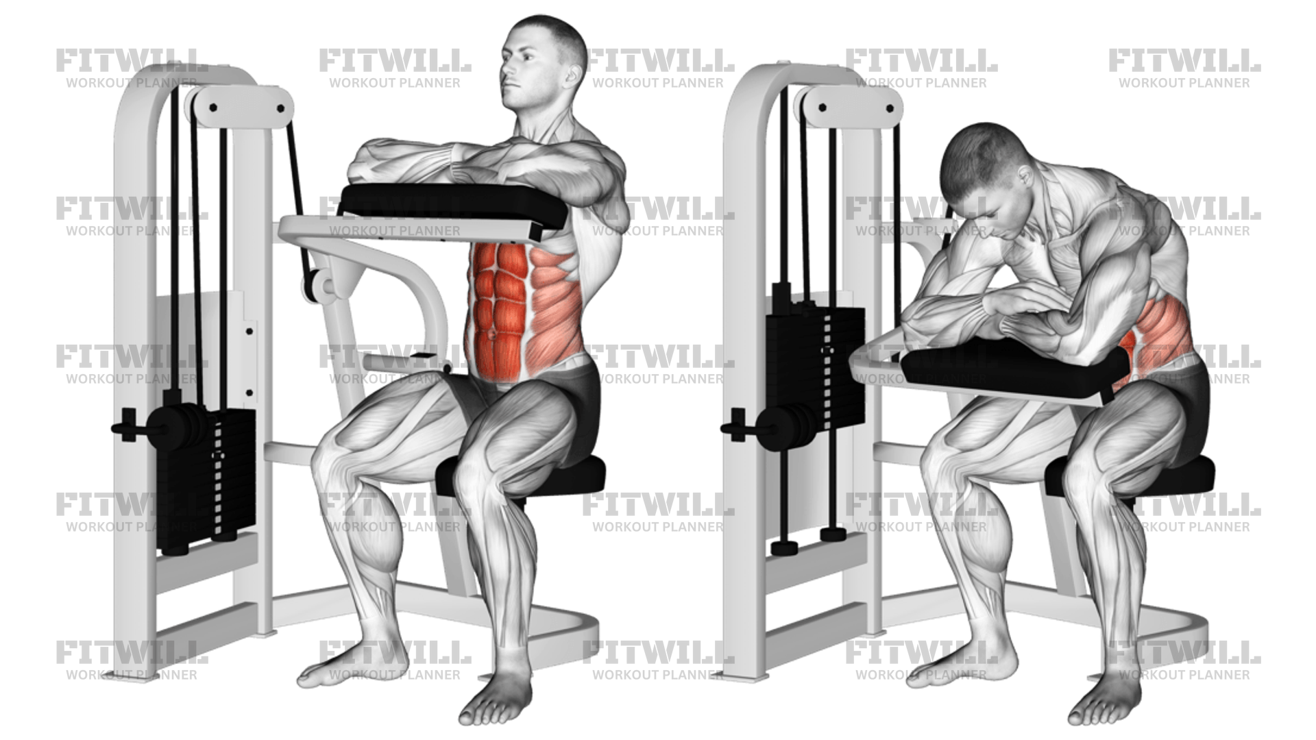 Lever Seated Crunch (hands Pad): Exercise Guide, Video, Techniques ...