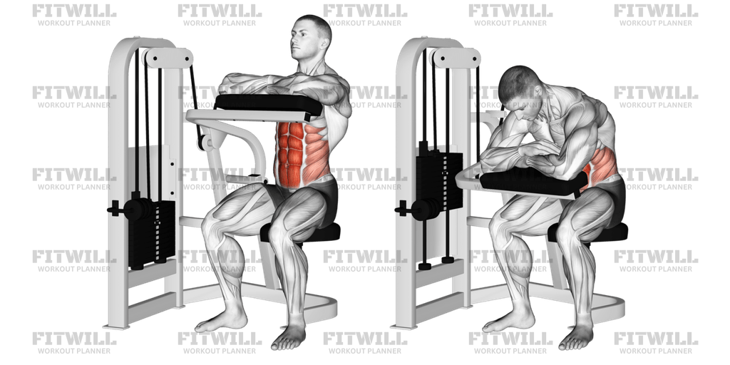 Lever Seated Crunch (hands pad): Guide, Techniques, Benefits, How to ...