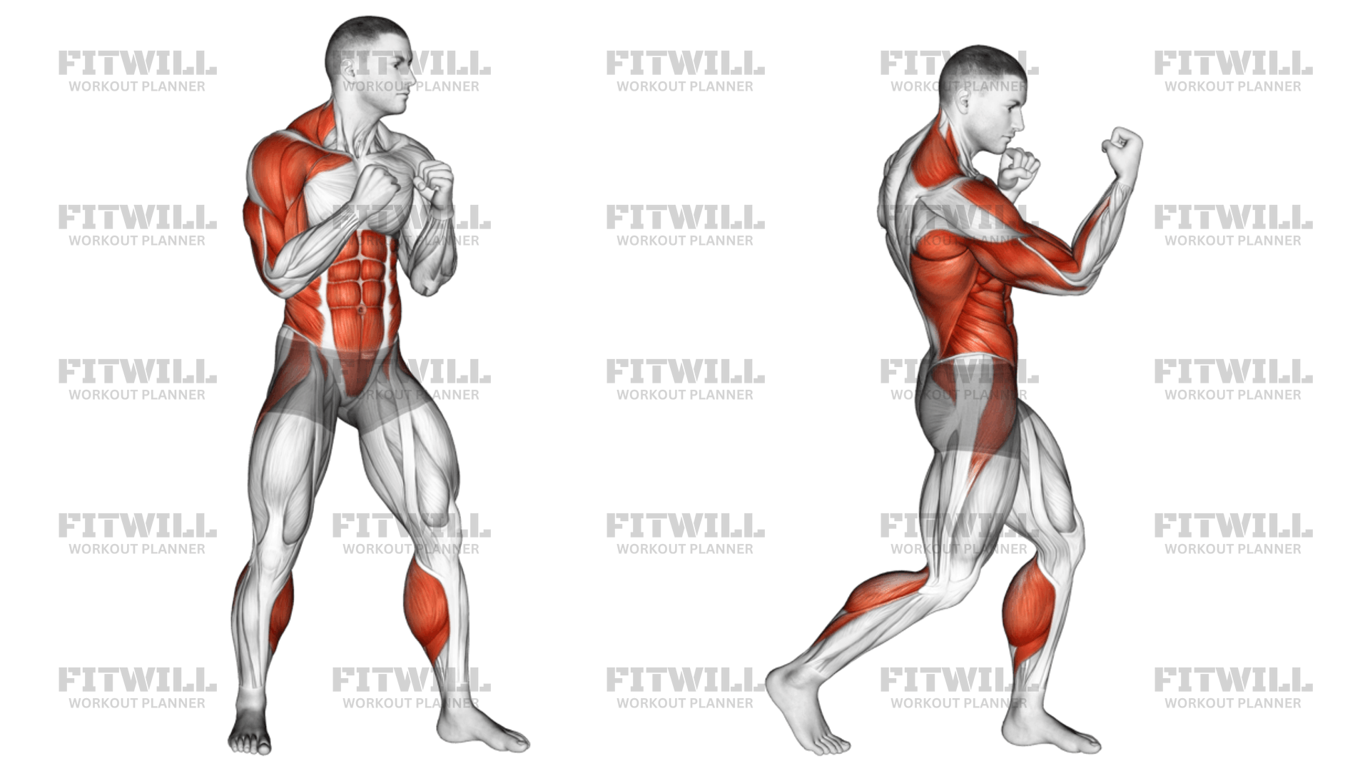 Right Uppercut. Boxing: Exercise Guide, Video, Techniques, Benefits ...