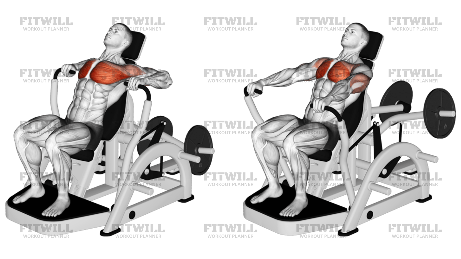 Lever Decline Chest Press (VERSION 2): Exercise Guide, Video ...