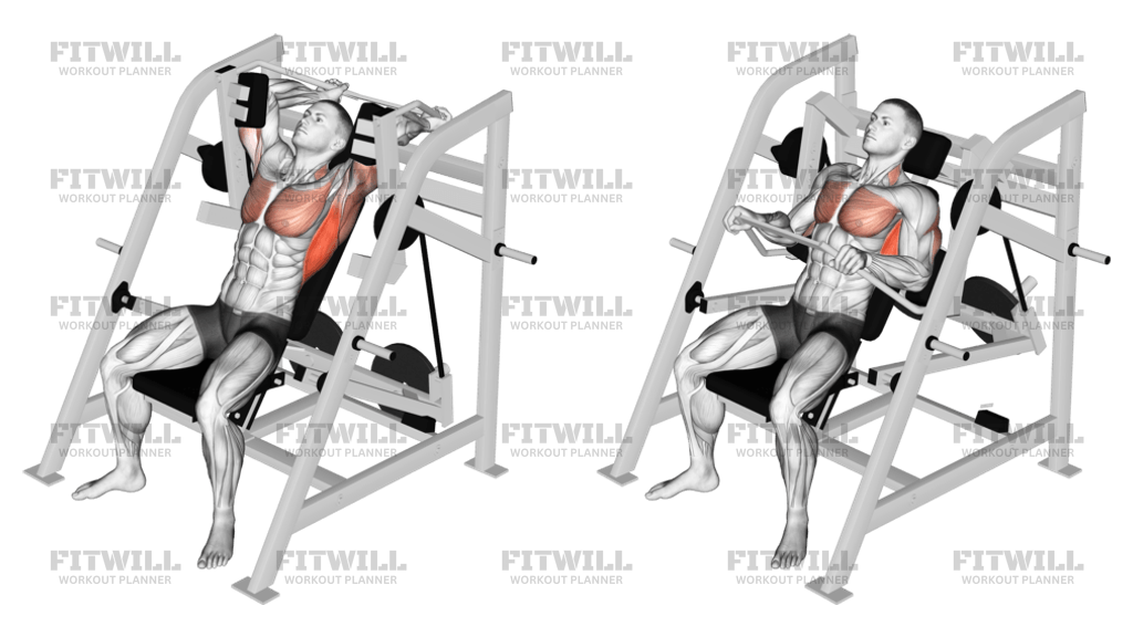 Lever Pullover Plate Loaded: Exercise Guide, Video, Techniques ...