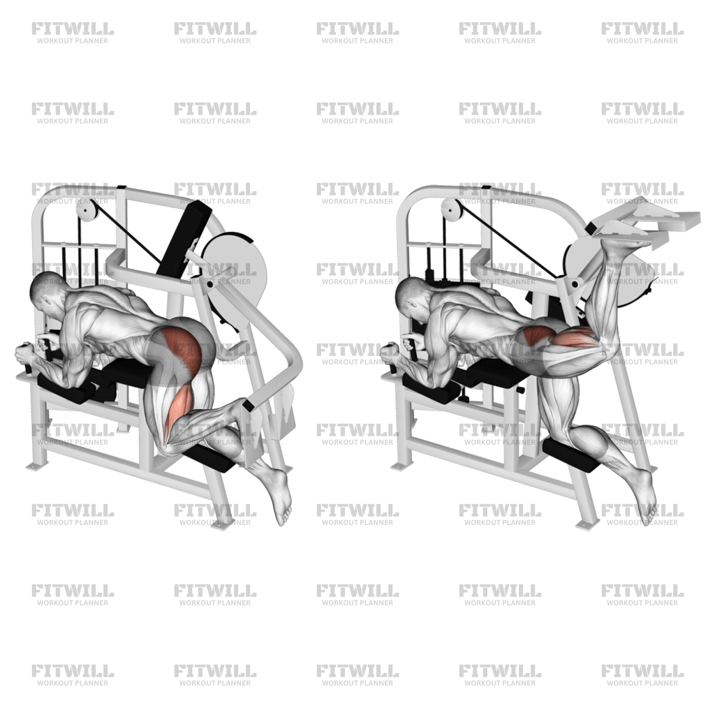 Lever Hip Extension (VERSION 2): Exercise Guide, Video, Techniques ...