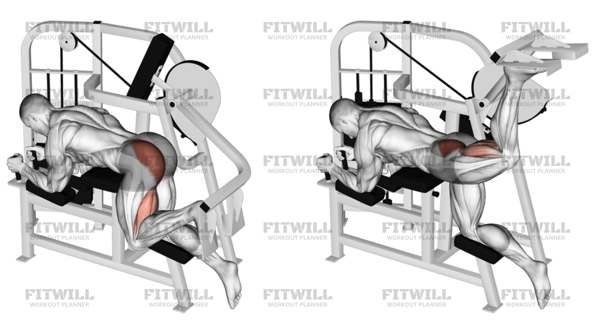 Lever Hip Extension (VERSION 2): Exercise Guide, Video, Techniques ...