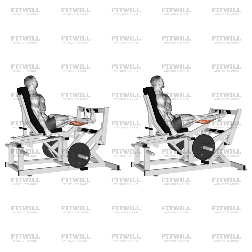 Lever Calf Press (plate Loaded): Exercise Guide, Techniques, Benefits ...