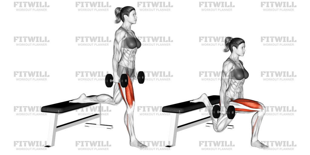Agachamento Búlgaro Com Halteres: Guia de Exercícios, Vídeo, Técnicas ...
