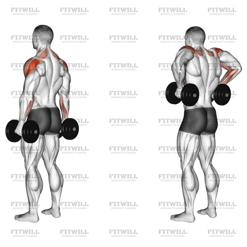 Dumbbell Rear Delt Raise: Exercise Guide, Video, Techniques, Benefits ...