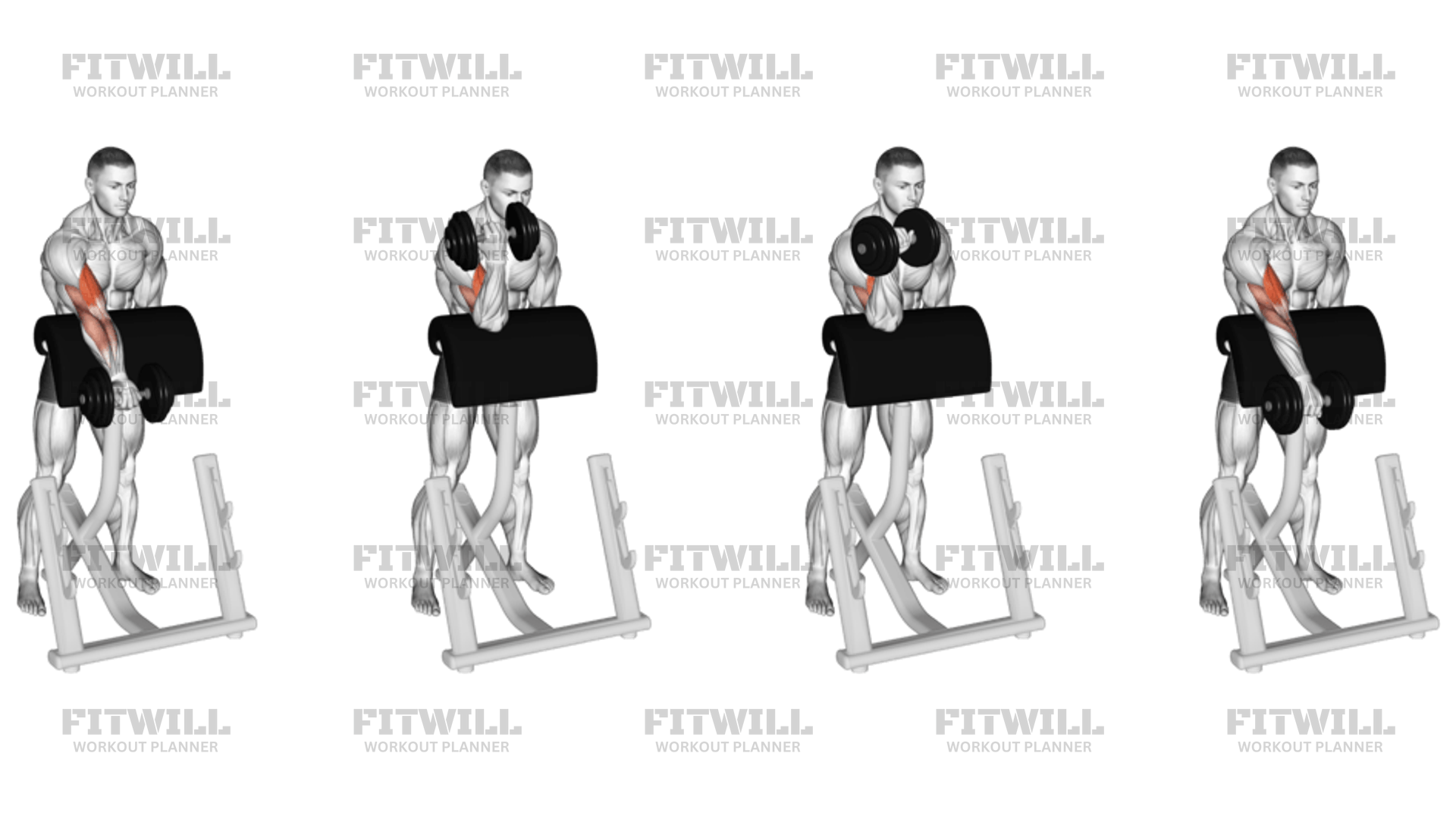 How to do Dumbbell Standing Zottman Preacher Curl: Techniques, Benefits ... How to do Dumbbell Standing Zottman Preacher Curl: Techniques, Benefits ...