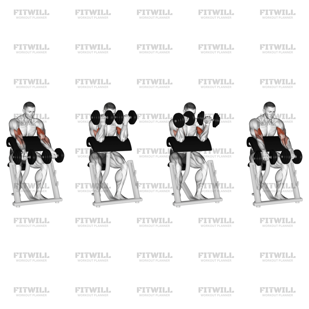 Dumbbell Zottman Preacher Curl: Exercise Guide, Video, Techniques ...
