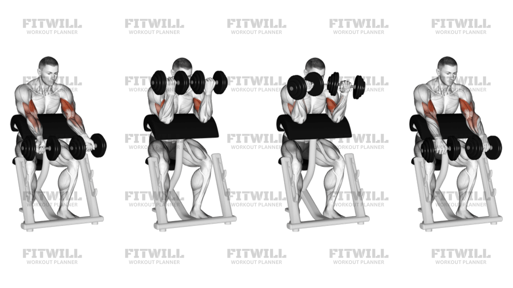 Rosca Scott Com Halteres No Estilo Zottman: Guia de Exercícios, Vídeo ...