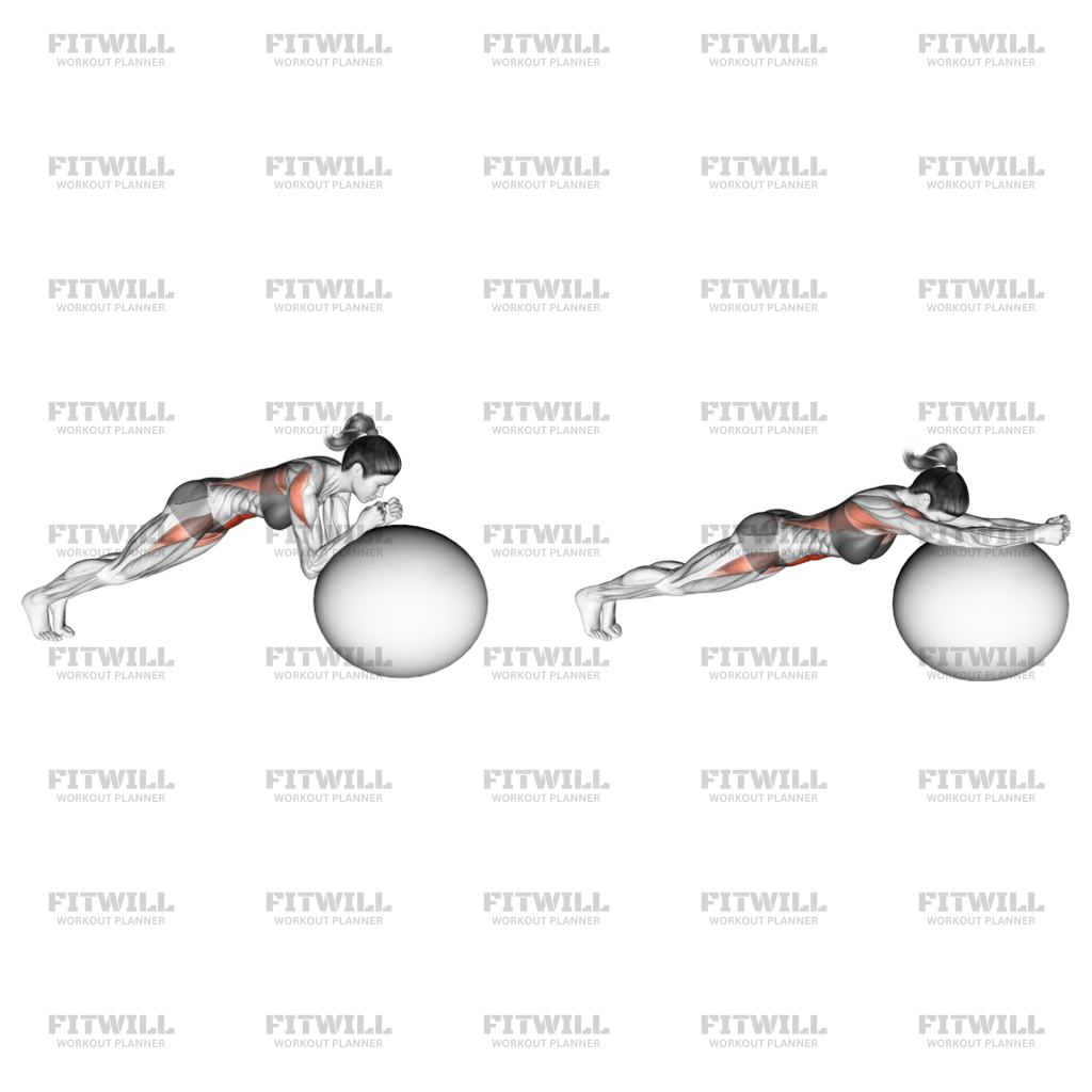 Stability Ball Rollout: Exercise Guide, Techniques, Benefits, How to ...